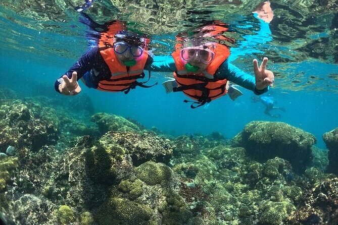 Viewpoints and Snorkeling EN Playa La Entrega - Who Should Consider This Tour?