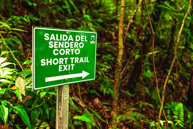 Views of Heaven, Peasant Afternoons Volcano & Lake - Positive Traveler Feedback