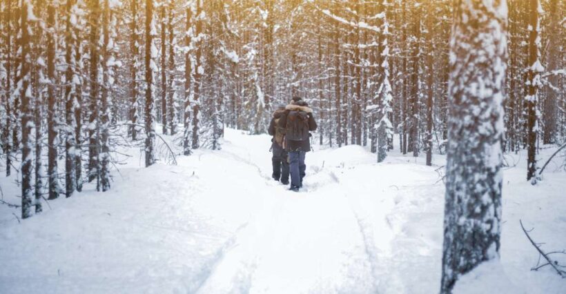 Vikakongas Hike: Nature and Silence - Key Points