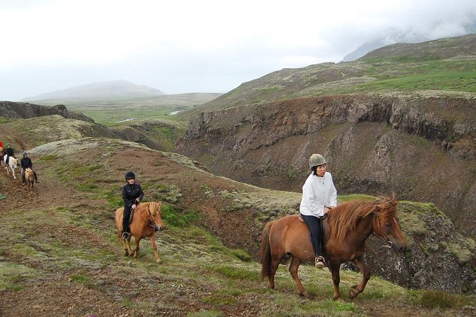 Viking Horse Riding and Golden Circle Tour From Reykjavik - Customer Feedback and Experiences