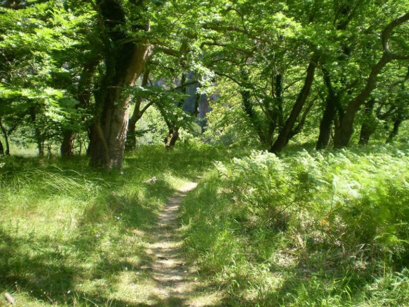 Vikos Gorge Aristi to Klidonia Bridge 3-Hour Hike - FAQ