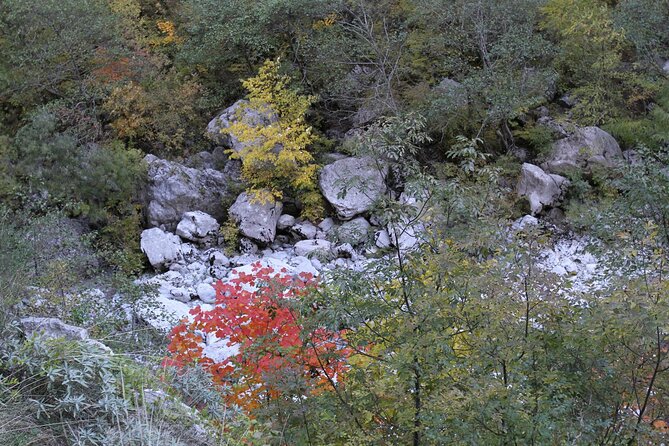 Vikos Gorge Crossing Hiking From Monodentri to Vikos Village - Experiencing the Charming Village of Vikos