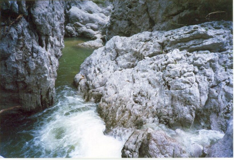 Vikos Gorge Full-Day Guided Hike - The Experience of Guided Hiking in Vikos Gorge