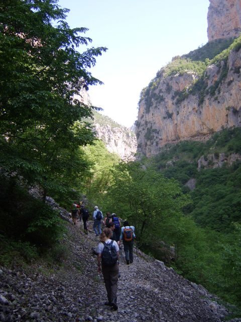 Vikos Gorge Full-Day Guided Hike - Who Will Love This Tour