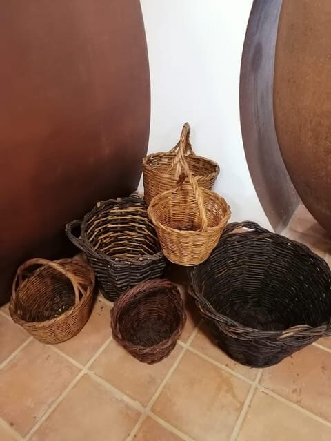 Vila de Frades: Talha Wine Tour with Tastings - Key Points