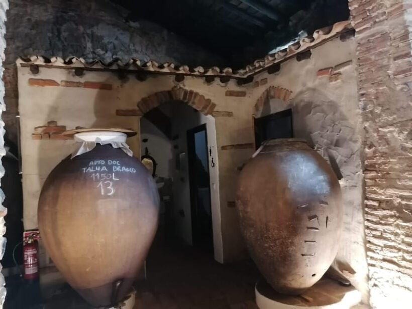 Vila de Frades: Talha Wine Tour with Tastings - A Detailed Look at the Experience