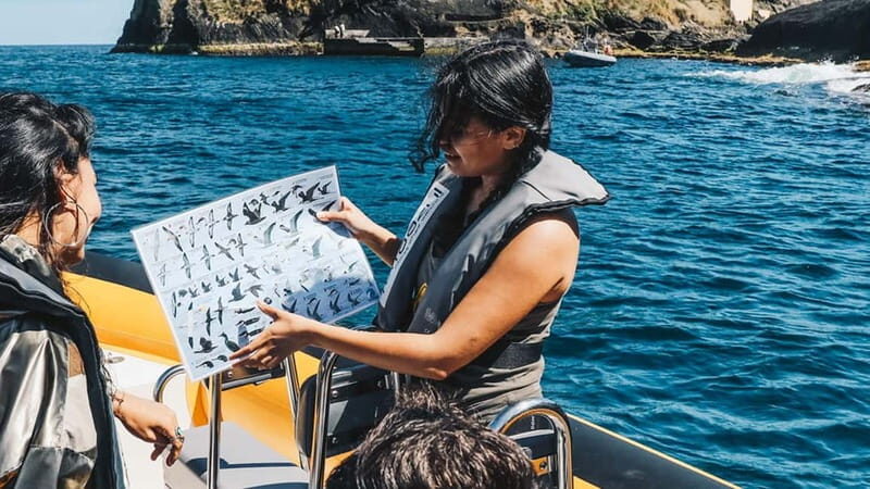 Vila Franca Islet: Around The Islet Guided Boat Tour - Exploring Vila Franca Islet: A Guided Boat Tour Worth Taking