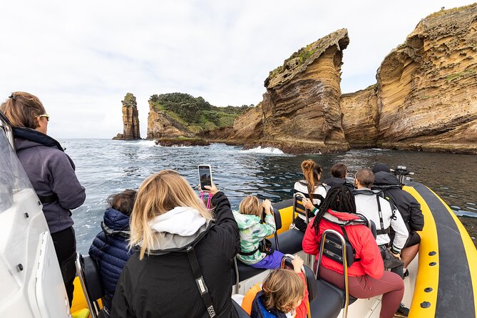 Vila Franca Islet Off-coast Nature Reserve Tour - Customer Feedback