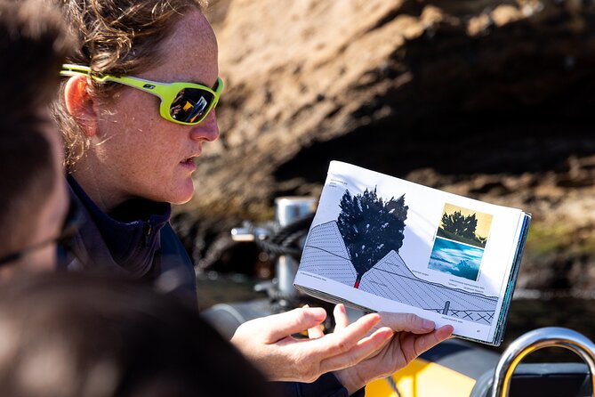 Vila Franca Islet Off-coast Nature Reserve Tour - Cancellation Policy