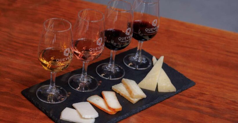 Vila Nova de Gaia: Port Wine Tasting with Cheese Pairing - Introduction