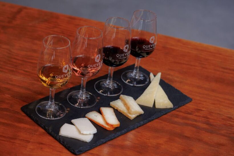 Vila Nova de Gaia: Port Wine Tasting with Cheese Pairing - Who Will Enjoy This Tour?