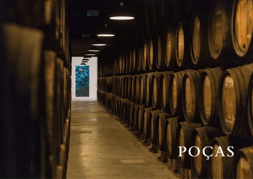 Vila Nova de Gaia: Winery Tour with 2 DOC Douro & 2 Ports - The Cellar Tour: A Walk Through Time and Aroma