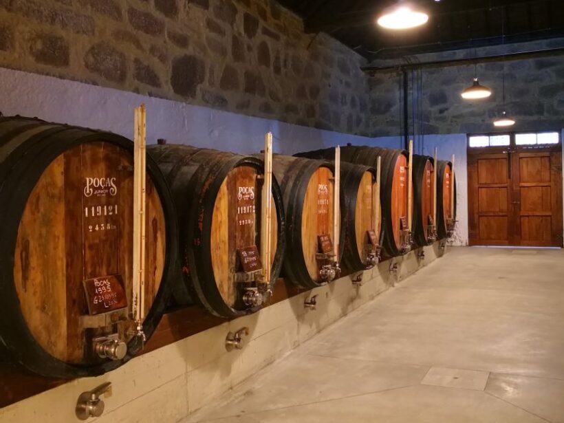 Vila Nova de Gaia: Winery Tour with 2 DOC Douro & 2 Ports - Practical Details and Value