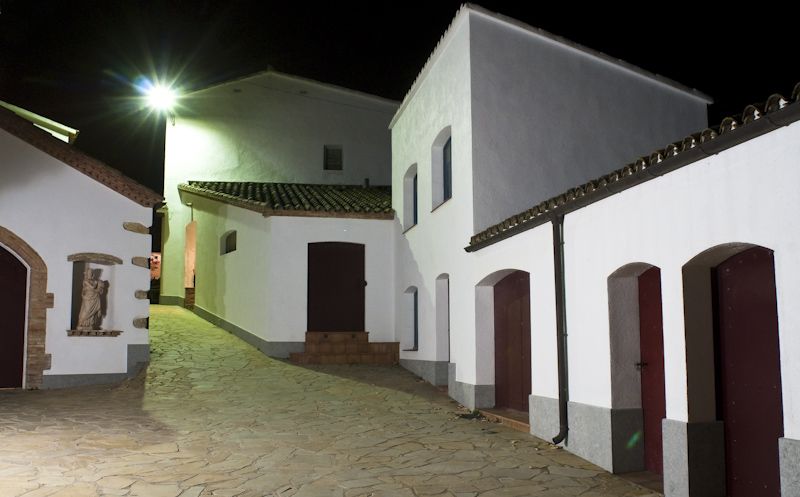 Vilafranca del Penedès: Winery Visit with Tastings - The Experience Through the Lens of Past Travelers