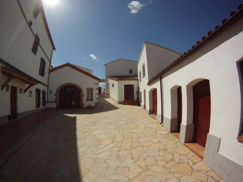 Vilafranca del Penedès: Winery Visit with Tastings - Practical Tips for Visitors