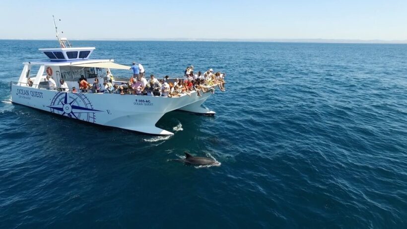 Vilamoura: Boat Tour Dolphin Quest - Who Will Love This Tour?