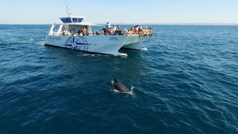Vilamoura: Boat Tour Dolphin Quest - Final Thoughts