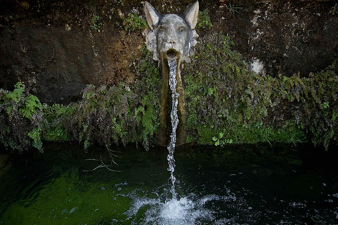 Villa Adriana and Villa d'Este Unique Photo Tour and Workshop - Who Should Consider This Tour?
