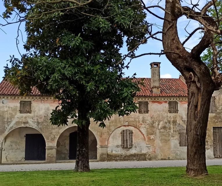 Villa Bogdano 1880: Guided Winery Tour and Tasting - A Closer Look at Villa Bogdano 1880: Guided Winery Tour and Tasting