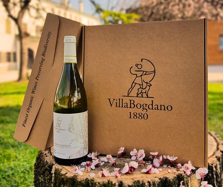 Villa Bogdano 1880: Guided Winery Tour and Tasting - Key Points