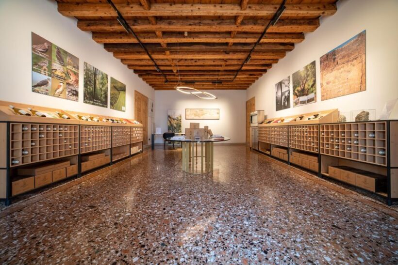 Villa Bogdano 1880: Guided Winery Tour and Tasting - Final Thoughts