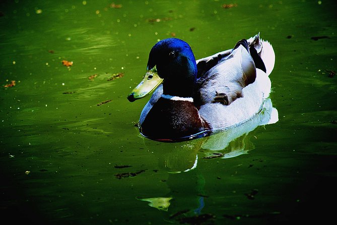 Villa Borghese and Posh Areas Unique Photo Tour and Workshop - The Experience and the Reviews