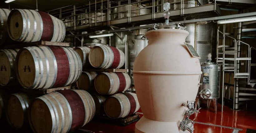Villa Mangiacane: Wine tasting with Florence view - The Wines and Quality