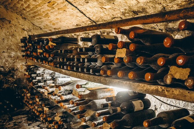 Villa Medicea Di Lilliano Tour with Wine Tasting - Practical Tips for Visitors