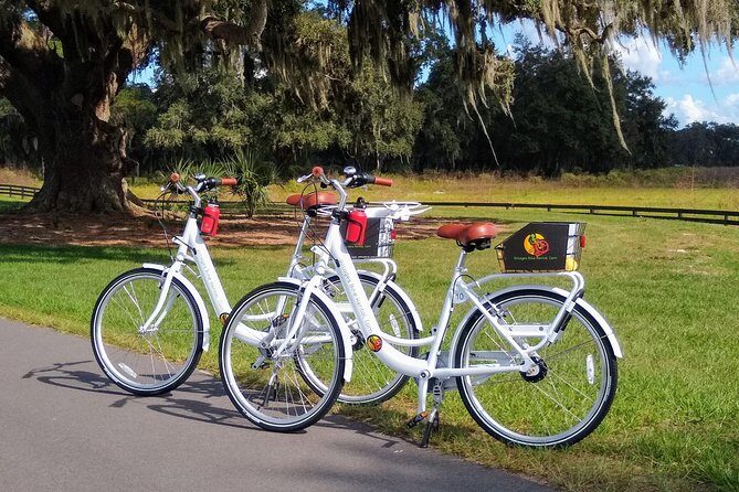Village Bicycle Rental Free Delivery in The Villages Florida - Key Points