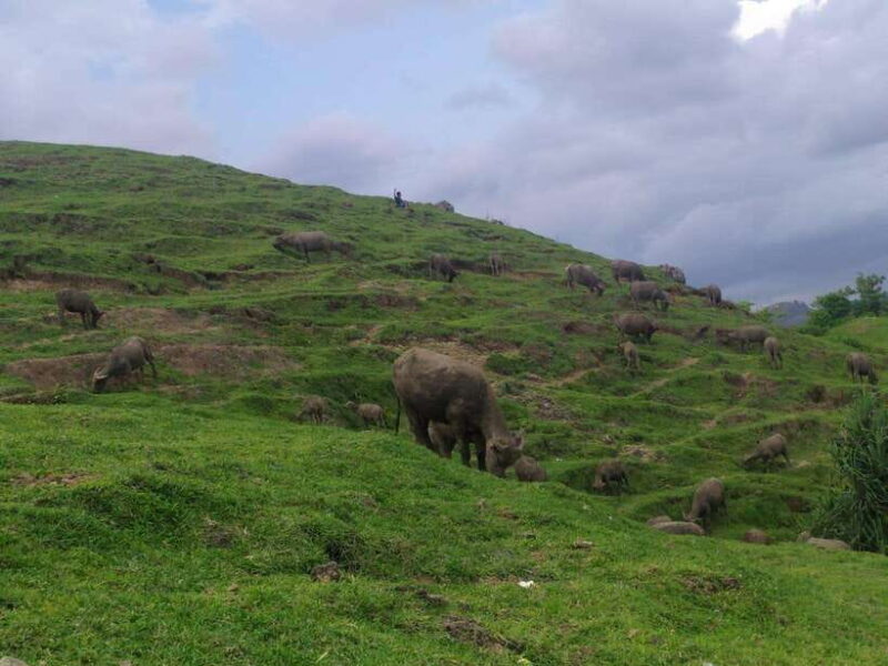 Village culture and nature sasak tour - The Experience of a Guided Tour