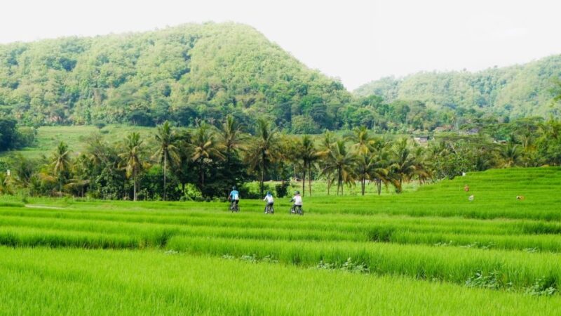 Village Cycling Tour in Nanggulan - Final Thoughts