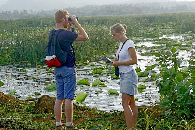 Village Expedition in Yala By Tuk-Tuk from Hambantota Harbor - The Sum Up