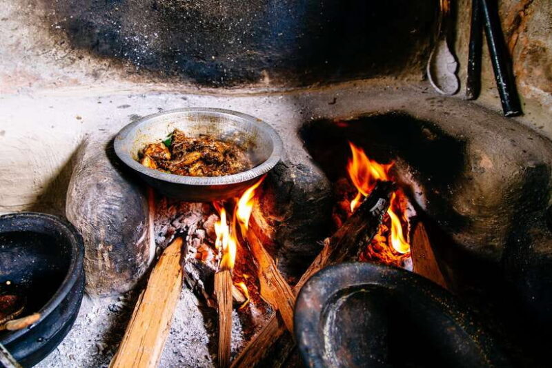 Village Flavors Cooking Class and Fishing Tour from Colombo - Key Points