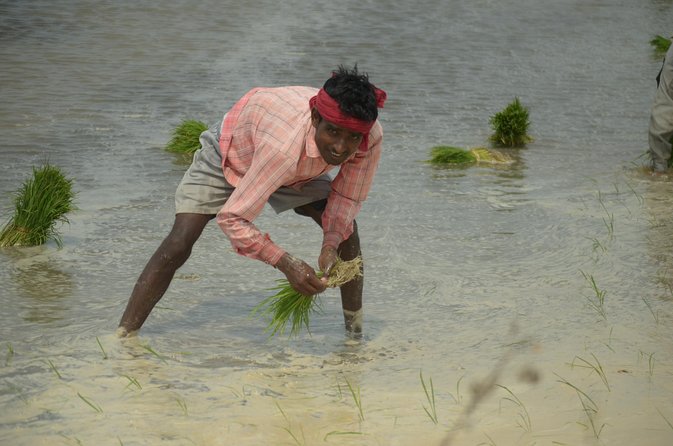 Village Snapshot - Pure and simple - Introduction