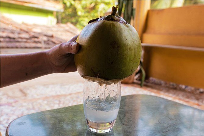 Village Tour and Goan Portuguese Fusion Meal with a Local - A Deep Dive into the Village Tour and Culinary Experience
