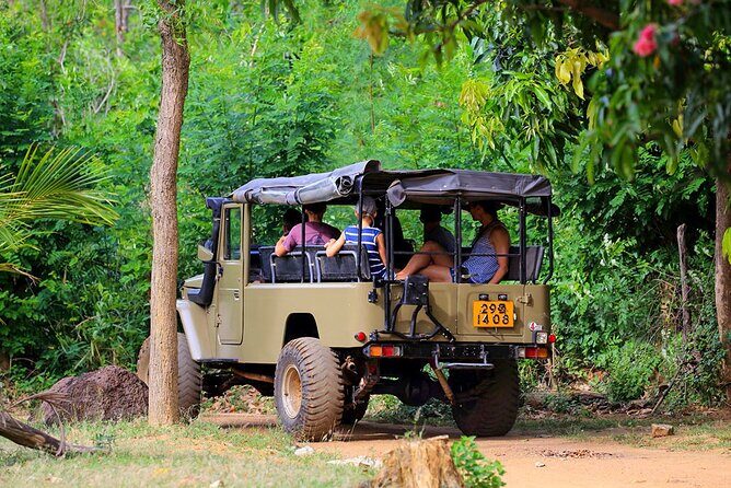 Village Tour by Classic Jeep from Habarana - A Detailed Look at the Village Tour by Classic Jeep from Habarana