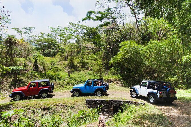 Village Tour by Classic Jeep from Habarana - Key Points
