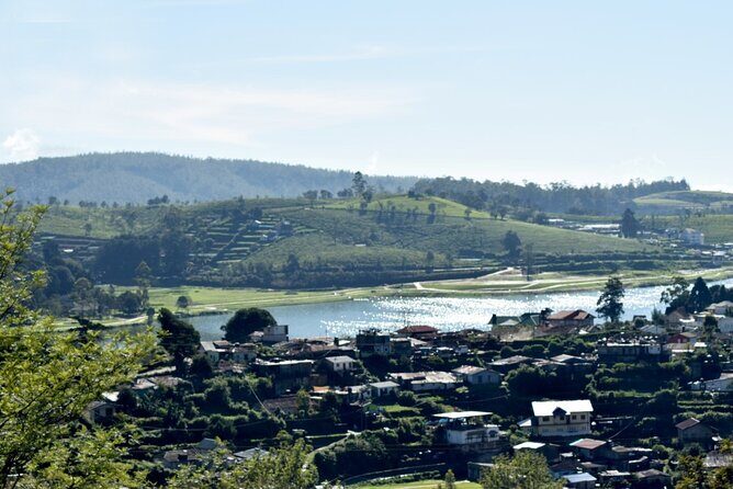 Village Tour by Classic Jeep from Habarana - Who Will Love This Tour?