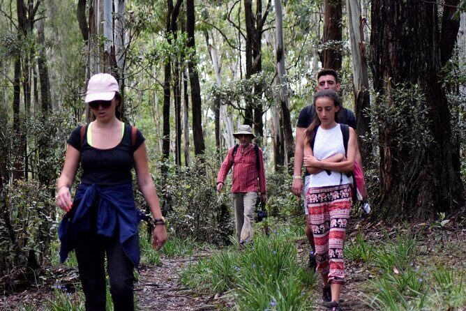 Village Tour by Classic Jeep from Habarana - FAQs