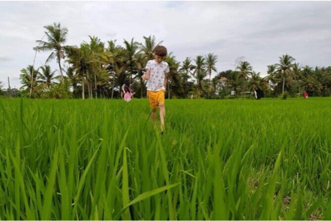 VILLAGE TOUR & RICE FIELDS TREKKING Jambangan Bali - Local Craft and Cooking Experience