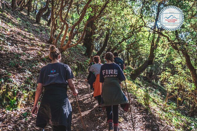 Village Tours Around Mussoorie - A Full day Hike to Kanda Jhak - A Complete Review of the Kanda Jhak Trek Experience