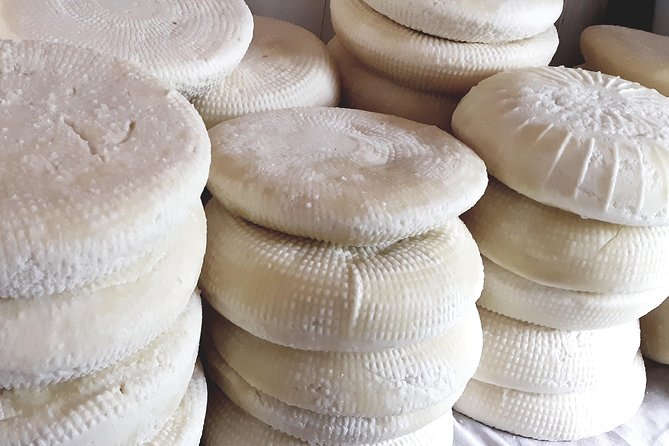 Village Venture: Troodos Mountains Food & Wine Small Group Day Tour - Positive Guest Feedback