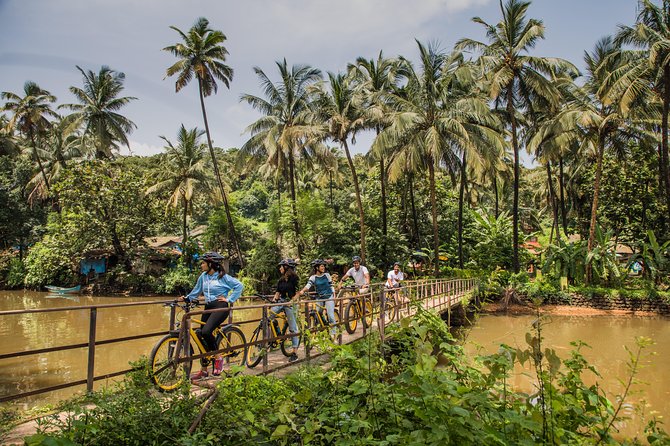 Village Vibes: Cansaulim Coastal E-Bike & Japanese Tea Tour - The Sum Up