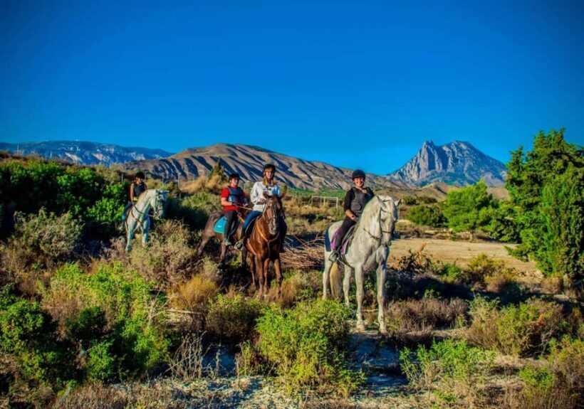Villajoyosa Horseback Riding in the Mountains with sea views - Practical Details and What to Keep in Mind