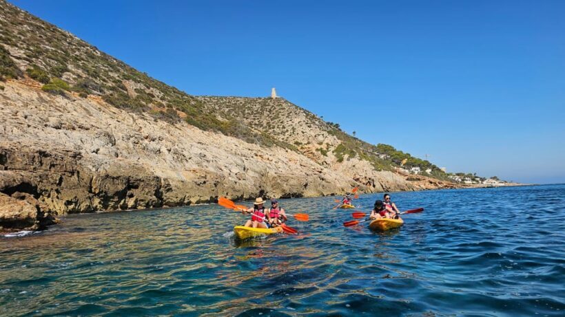 Villajoyosa: Kayak trip - What Makes This Experience Stand Out?