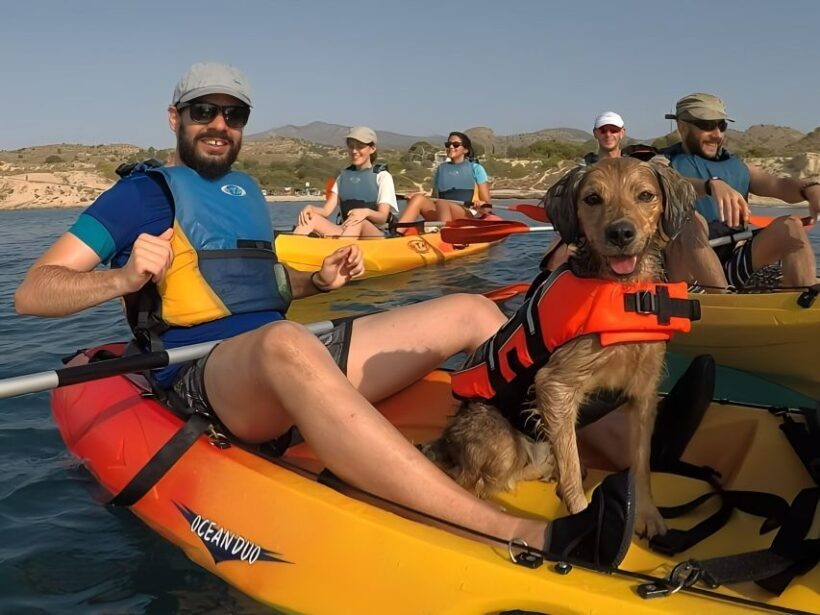 Villajoyosa: Kayaking with the man's best friend, your dog - Equipment and Safety