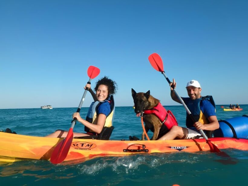 Villajoyosa: Kayaking with the man's best friend, your dog - Who Should Consider This Tour?