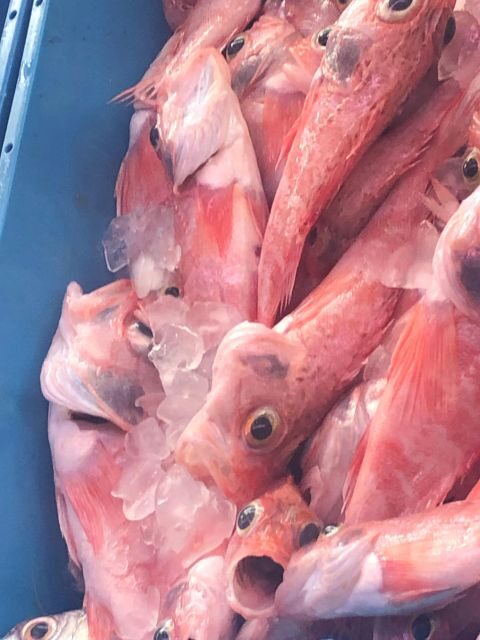 Villajoyosa: Seafood Route and Fish Auction. - The Sum Up