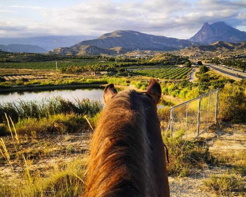 Villajoyosa:2-hour Horseback Riding Tour - Villajoyosa: 2-hour Horseback Riding Tour – A Genuine Ride Through Nature