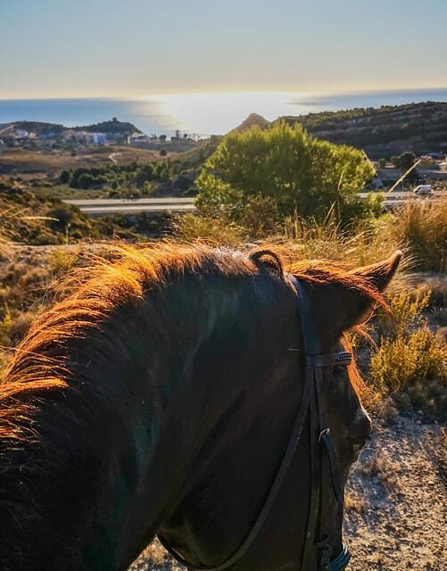 Villajoyosa:2-hour Horseback Riding Tour - The Ride’s Length and Flexibility